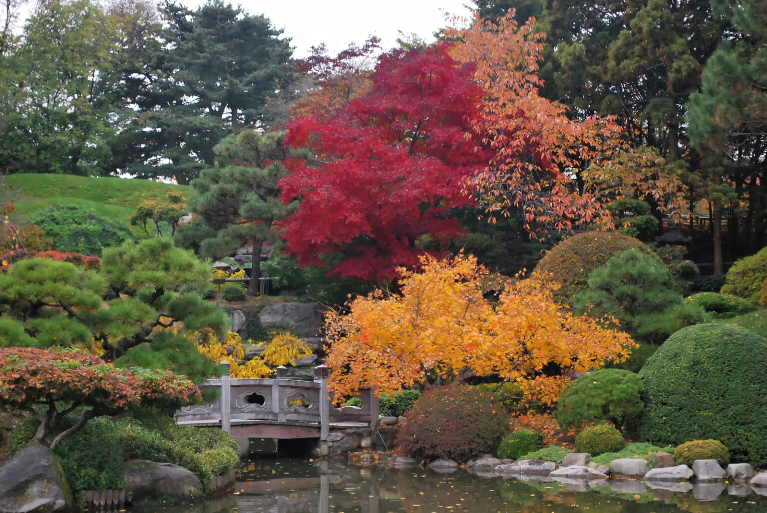 Enjoying Fall in Brooklyn: A Guide to 4 Seasonal Activities